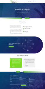Examples - The Free Website Guys